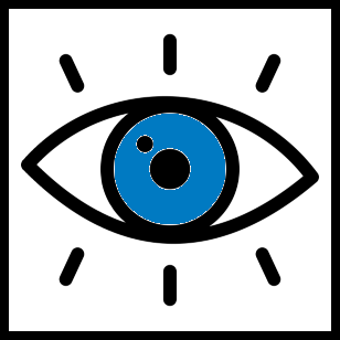 Understanding Visual Information